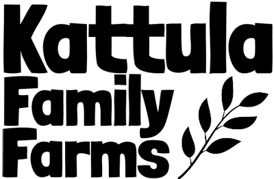 Indian Vegetable Farm thai vegetable seeds pakistan vegetable seeds ...